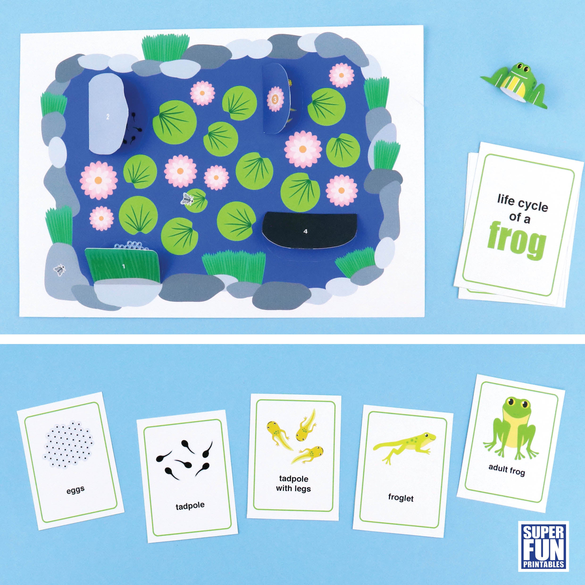 Frog Lifecycle Bundle – The Craft Train Shop