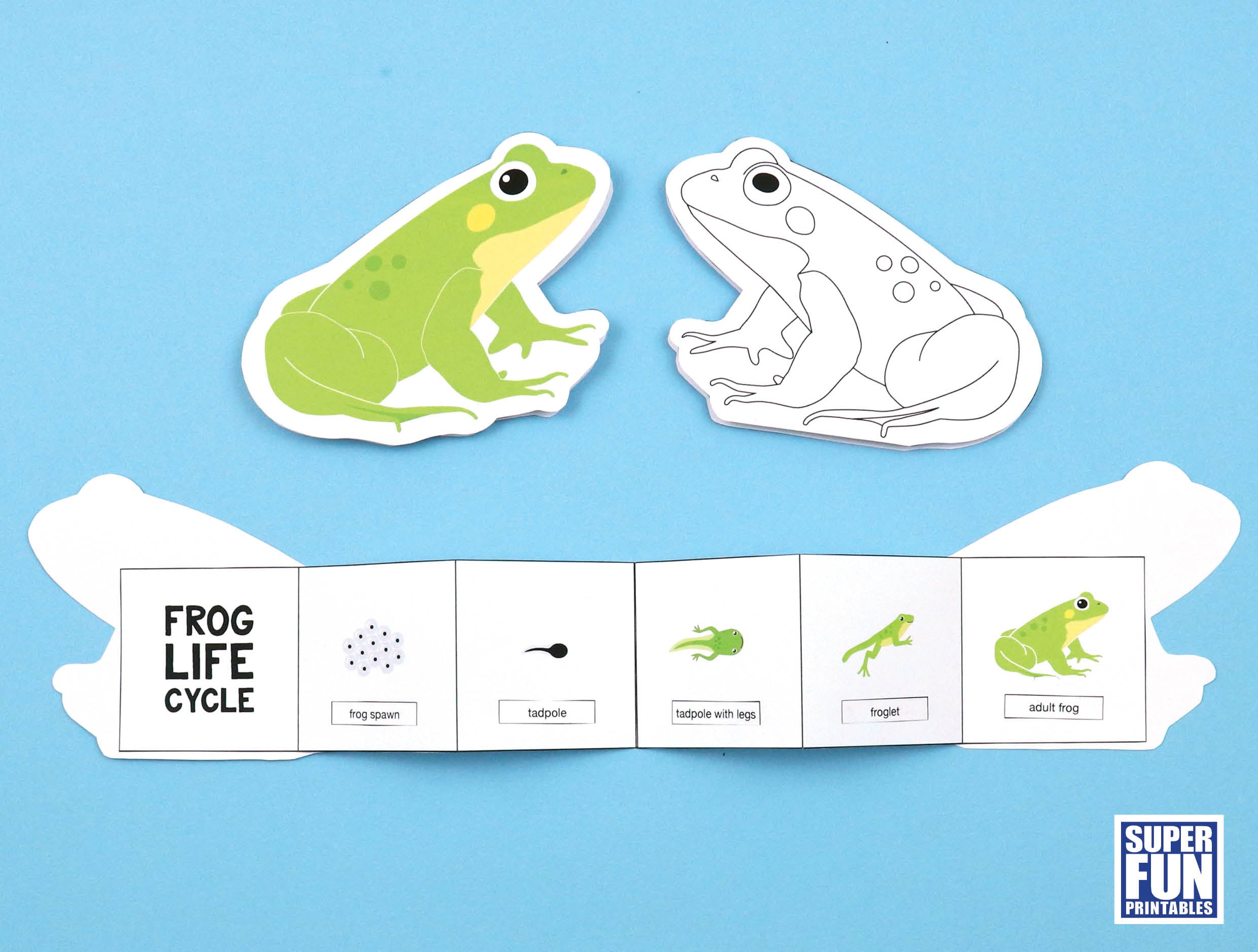 Frog Lifecycle Bundle – The Craft Train Shop